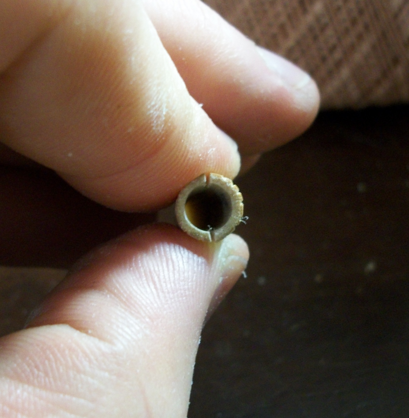 Reed Making: how I do it, part 2. | Trent Jacobs, bassoonist